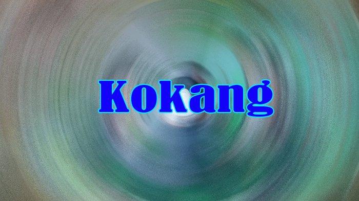 Kokang Viral di Medsos, Arti Kata Kokang dan Kokang Artinya Bahasa Gaul ...
