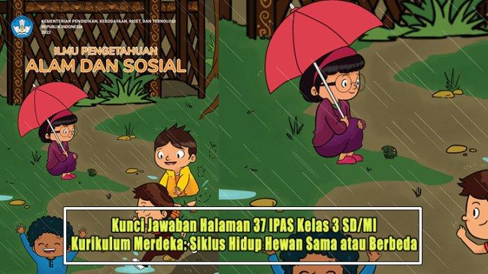 Kunci Jawaban Halaman 37 IPAS Kelas 3 SD/MI Kurikulum Merdeka: Siklus ...