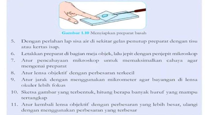 Kunci Jawaban IPA Halaman 8-9 Kelas 8 Percobaan Aktivitas 1.2 Membuat ...