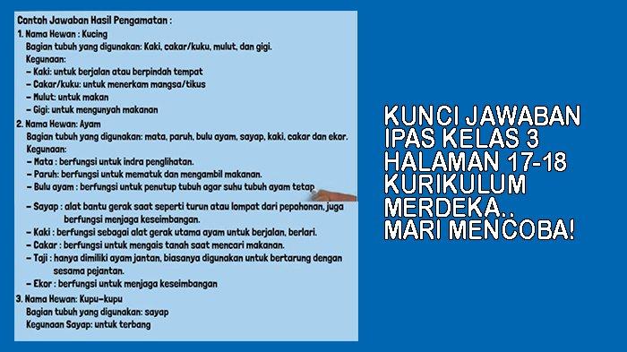 Kunci Jawaban IPAS Kelas 3 Halaman 17 18 Kurikulum Merdeka, Mari Mencoba! - Tribunpekanbaru.com