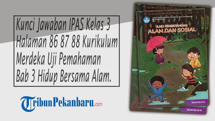 Kunci Jawaban IPAS Kelas 3 Halaman 86 87 88 Kurikulum Merdeka Uji Pemahaman Bab 3 Hidup Bersama ...