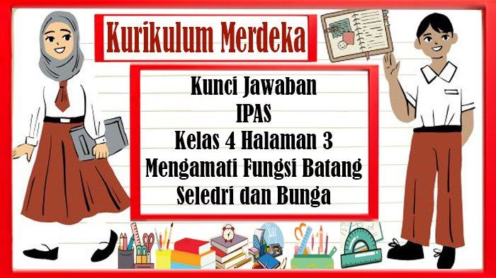 Kunci Jawaban IPAS Kelas 4 Halaman 3 Mengamati Fungsi Batang Seledri ...