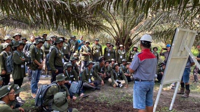 Petani Sawit Rohul Bersama BPDPKS dan YPPY Lakukan Kunjungan Lapangan ke Sinar Mas Grup ...