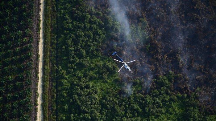 Lanud Roesmin Nurjadin Kerahkan Helikopter H225M/Caracal untuk Patroli Karhutla di Riau ...