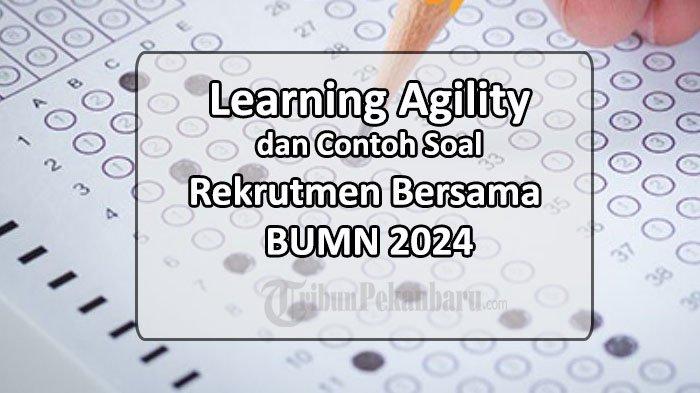 Learning Agility Adalah Apa Dalam Test Rekrutmen Bersama BUMN 2024? Ini ...