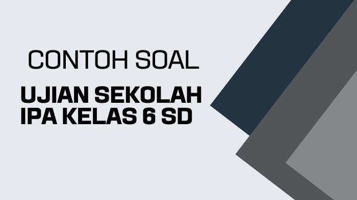 Link PDF Contoh Soal Ujian Sekolah IPA Kelas 6 SD, Lengkap Kunci Jawaban - Tribunpekanbaru.com