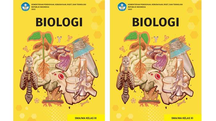 40 Soal Ujian Biologi Kelas 11 Semester 2 dan Jawaban Untuk PTS STS dan UTS - Halaman all ...