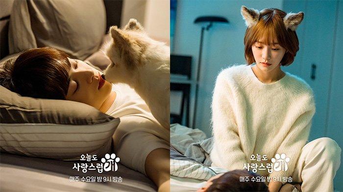 Bocoran Drakor A Good Day To Be A Dog Episode 4, Park Gyu Young Mulai Suka Cha Eun Woo ...