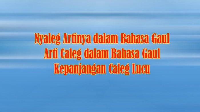 Nyaleg Artinya dalam Bahasa Gaul dan Arti Caleg dalam Bahasa Gaul serta ...