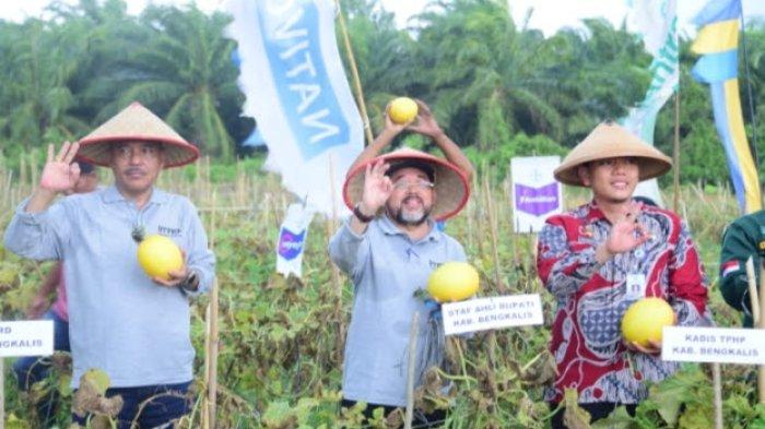 Bupati Bengkalis Ajak Petani Optimalkan Lahan dan Perkarangan ...