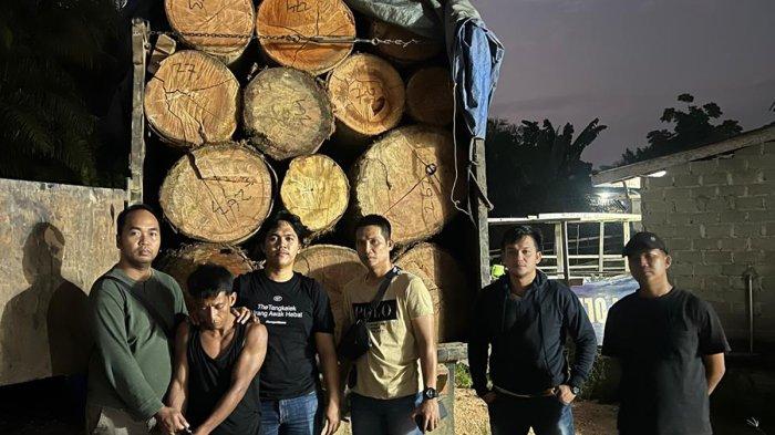 Polisi Cegat 4 Truk Pengangkut Kayu Hasil Ilog di Kampar Riau, Satu Sopir Diamankan, 3 Lagi ...