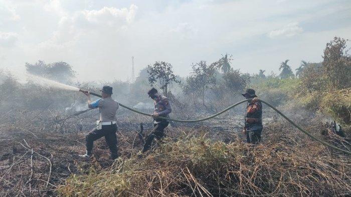 Karhutla di Riau Mulai Padam, Tiga Daerah Masih Proses Pendinginan ...