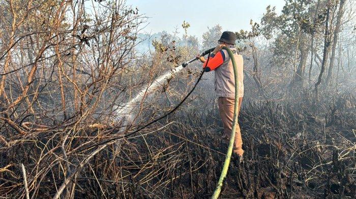 Api Karhutla di Kerumutan dan Pangkalan Kerinci Padam Dibantu Guyuran ...