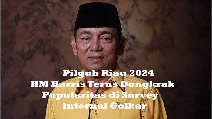 Pilgub Riau 2024 HM Harris Dongkrak Popularitas di Survey Internal ...
