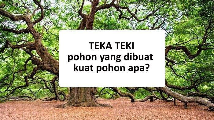 Pohon yang Dibuat Kuat Pohon Apa di Teka Teki TTS atau Tebak Tebakan ...