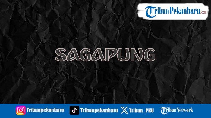 Sagapung Adalah Bahasa Gaul Populer, Inilah Penjelasan Apa Itu Sagapung ...