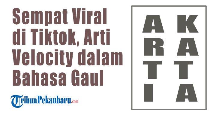 Apa Itu Velocity dalam Bahasa Gaul, Arti Tren Viral di Media Sosial Tiktok - Tribunpekanbaru.com