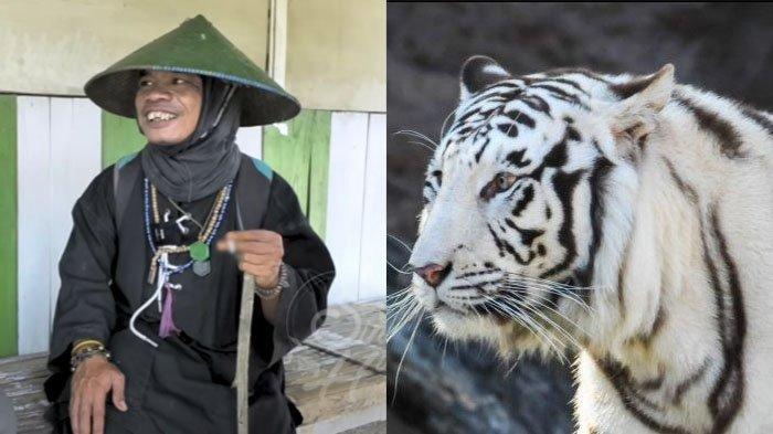 Siapa Joko Kendil yang Lagi Viral Media Sosial Tiktok, Berkeliaran Sejak 2001-2025 ...