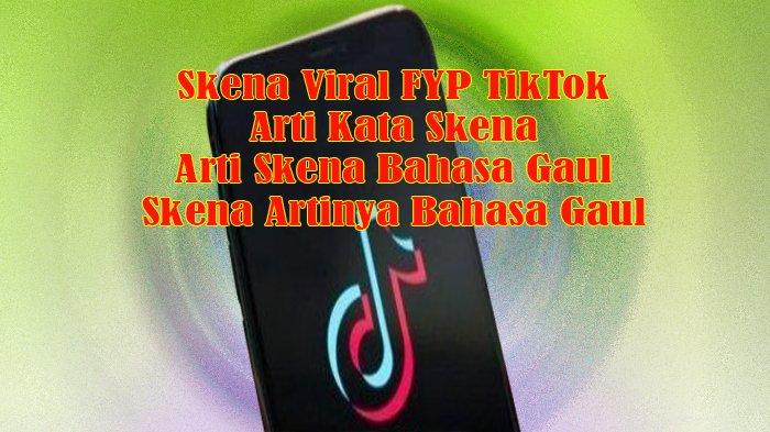 Skena Viral FYP TikTok, Arti Kata Skena dan Arti Skena Bahasa Gaul serta Skena Artinya Bahasa ...