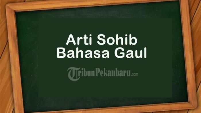 Sohiban atau Sohib Artinya Dalam Bahasa Gaul Apa Sih? Ini Arti Kata ...