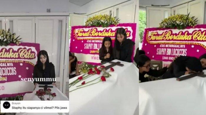 Staphy Itu Apa? Staphy Vilmei Viral di Tiktok, Banyak Netizen Berduka - Tribunpekanbaru.com