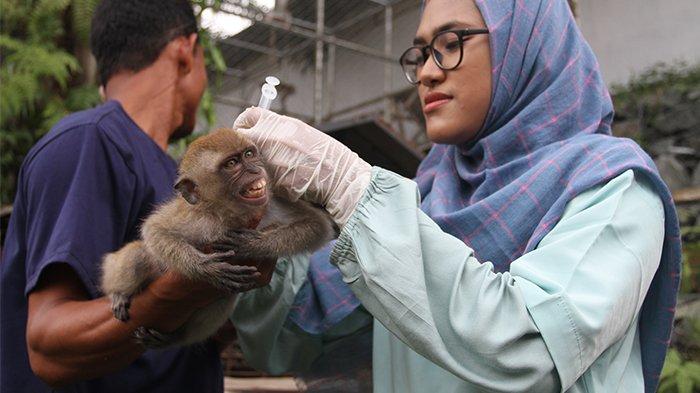 Hari Rabies Sedunia 2023, Ratusan Anjing, Kucing dan Kera di Suargaloka ...