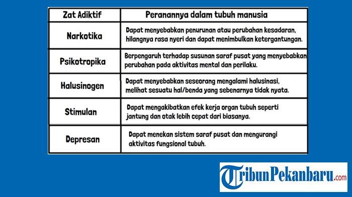 Kunci Jawaban IPA Kelas 9 Halaman 36 Kurikulum Merdeka Mari Uji ...