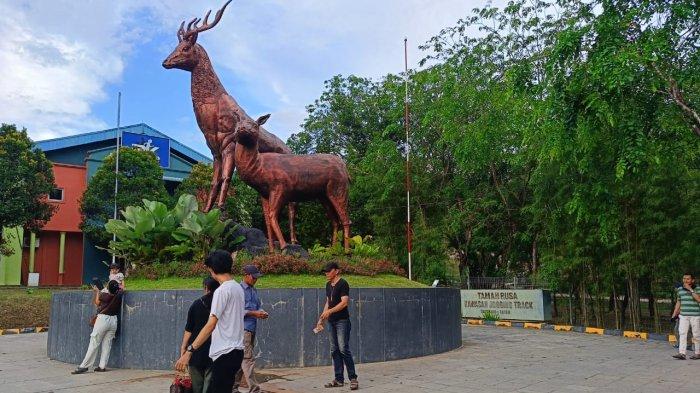 Taman Kelinci, Wahana Baru yang Kini Hadir di Taman Rusa Sekupang ...