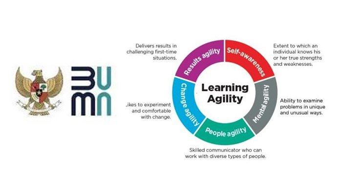 Contoh Soal Learning Agility BUMN 2025 Untuk Latihan Soal Rekrutmen Bersama BUMN - Halaman all ...