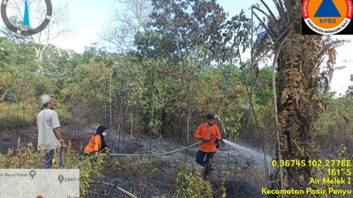 Sepanjang Mei 2023, Tercatat Dua Kejadian Karhutla di Inhu ...