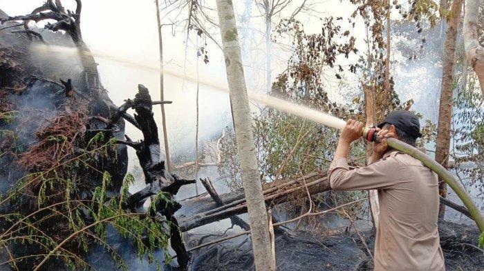 Meski Curah Hujan Tinggi, Ternyata Ada 2 Titik Api Karhutla Muncul di ...