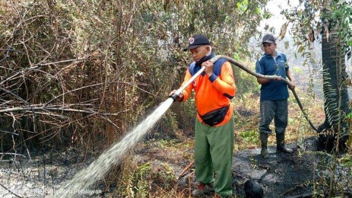 Titik Api Karhutla Bertambah BPBD Pelalawan Kirim Bantuan Personil ke Teluk Meranti dan Kuala ...