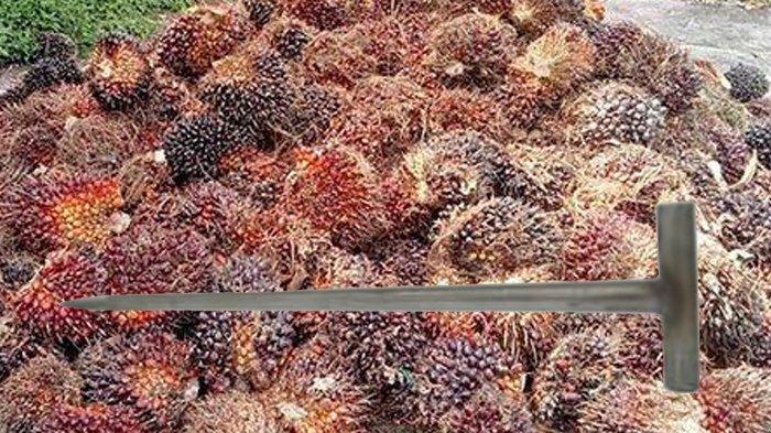 Kelahi Abang Adik di Kampar Sampai Kepala Kena Tojok, Dipicu Rebutan ...