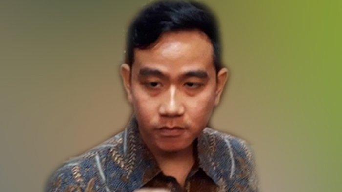 Viral Profil Gibran Rakabuming Raka Nnak Jokowi Disebut Bakal Cawapres Prabowo - Tribunpekanbaru.com