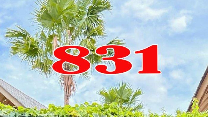 Viral Tiktok Kode 831, Cek di Sini Penjelasannya, Arti 831 dalam Bahasa ...