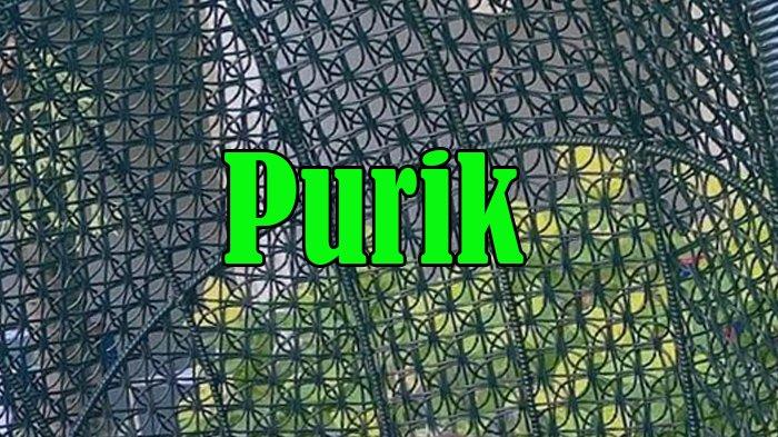 Apa Arti Purik dalam Bahasa Gaul? Kosa kata Gaul Terbaru di Dunia Anak ...