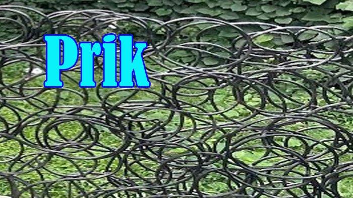 Apa Itu Prik Bahasa Gaul? Ini Contoh Prik dalam Kalimat Bahasa Gaul ...