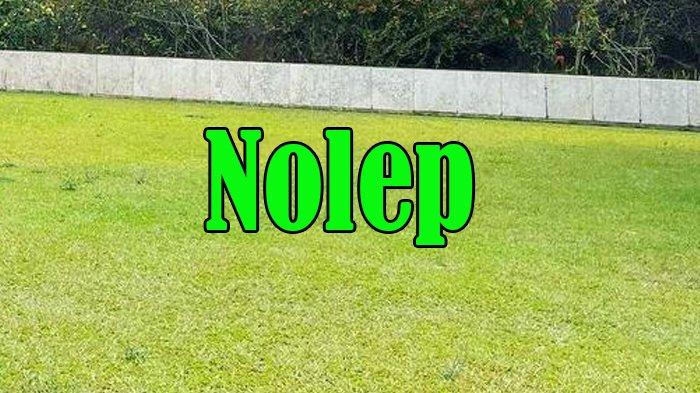 Apa Itu Nolep Bahasa Gaul Populer di Kalangan Anak Muda, Cek Arti Kata ...