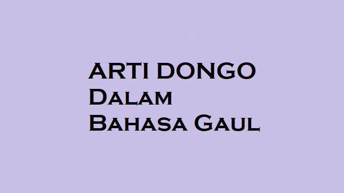 Arti Dongo Dalam Bahasa Gaul, Anak Gaul Harus Paham - Tribunpekanbaru.com