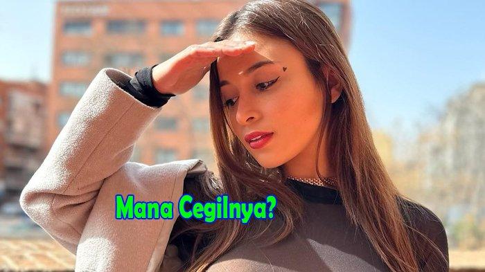 Arti Kata Cegil dan Arti Cegil di Twitter dan Arti Cegil Bahasa Gaul ...