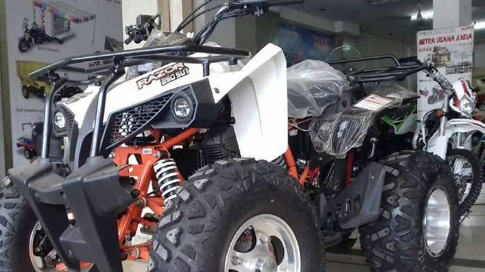 ATV Viar Razor 250cc Jelajahi Segala Medan, Mesin Tangguh dan Ground ...