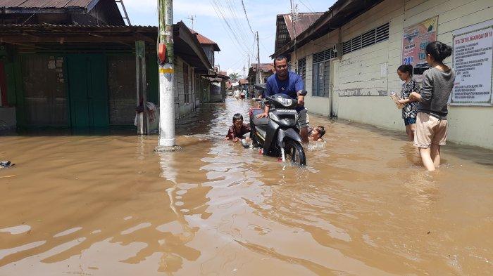 Banjir Meluas di Riau, 3.500 KK Terdampak dan Ribuan Hektare Kebun ...