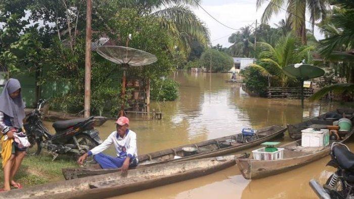 Banjir di Riau, 5.679 Ha Lahan Perkebunan di Kampar Kena Dampak ...