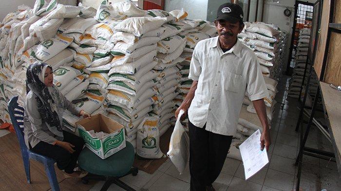 FOTO : Warga Menerima Bantuan Pangan Beras Secara Bertahap di Kantor ...