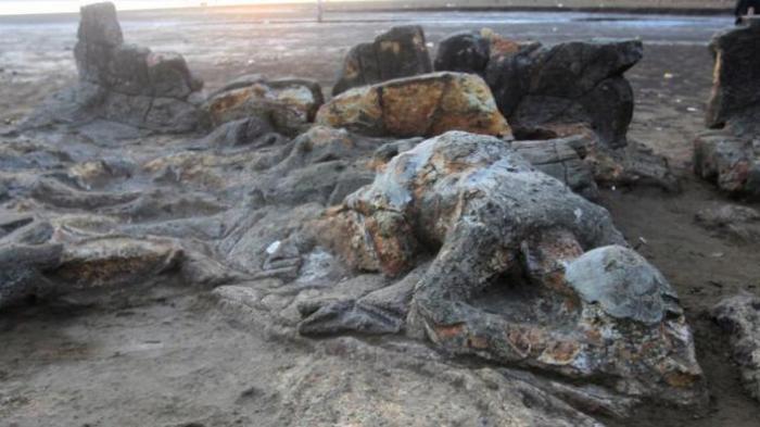 Cerita Rakyat Sumbar : Cerita Malin Kundang Lengkap dari Pergi Merantau ...