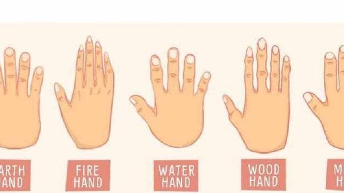 5 Bentuk Tangan Pengaruhi Kepribadian, Si Tangan Air Kamu Pandai ...