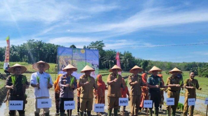 Dorong Produksi dan Kesejahteraan Petani, Bupati Rohul Serahkan Bantuan ...