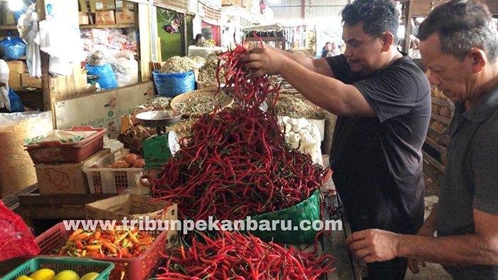FOTO : Harga Cabai Merah di Pekanbaru Melonjak - Tribunpekanbaru.com