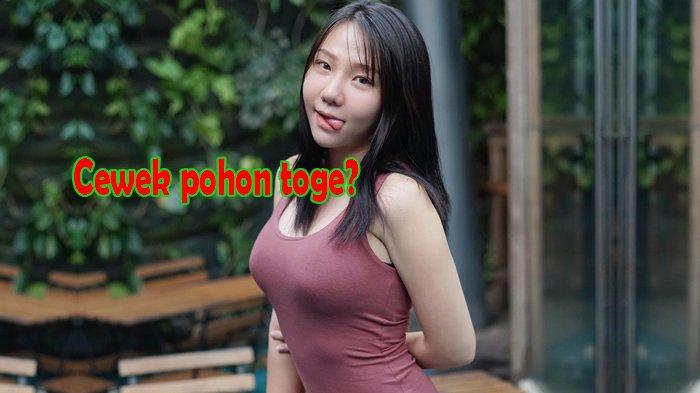 Cewek Pohon Toge! Apa Arti Pohon Toge Bahasa Gaul? Berikut ...