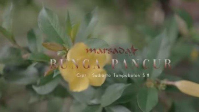 Lirik dan Chord Lagu Bunga Pancur Marsada Star - Tribunpekanbaru.com